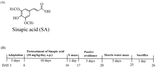 Effect of Sinapic Acid on Scopolamine-Induced Learning and Memory ...