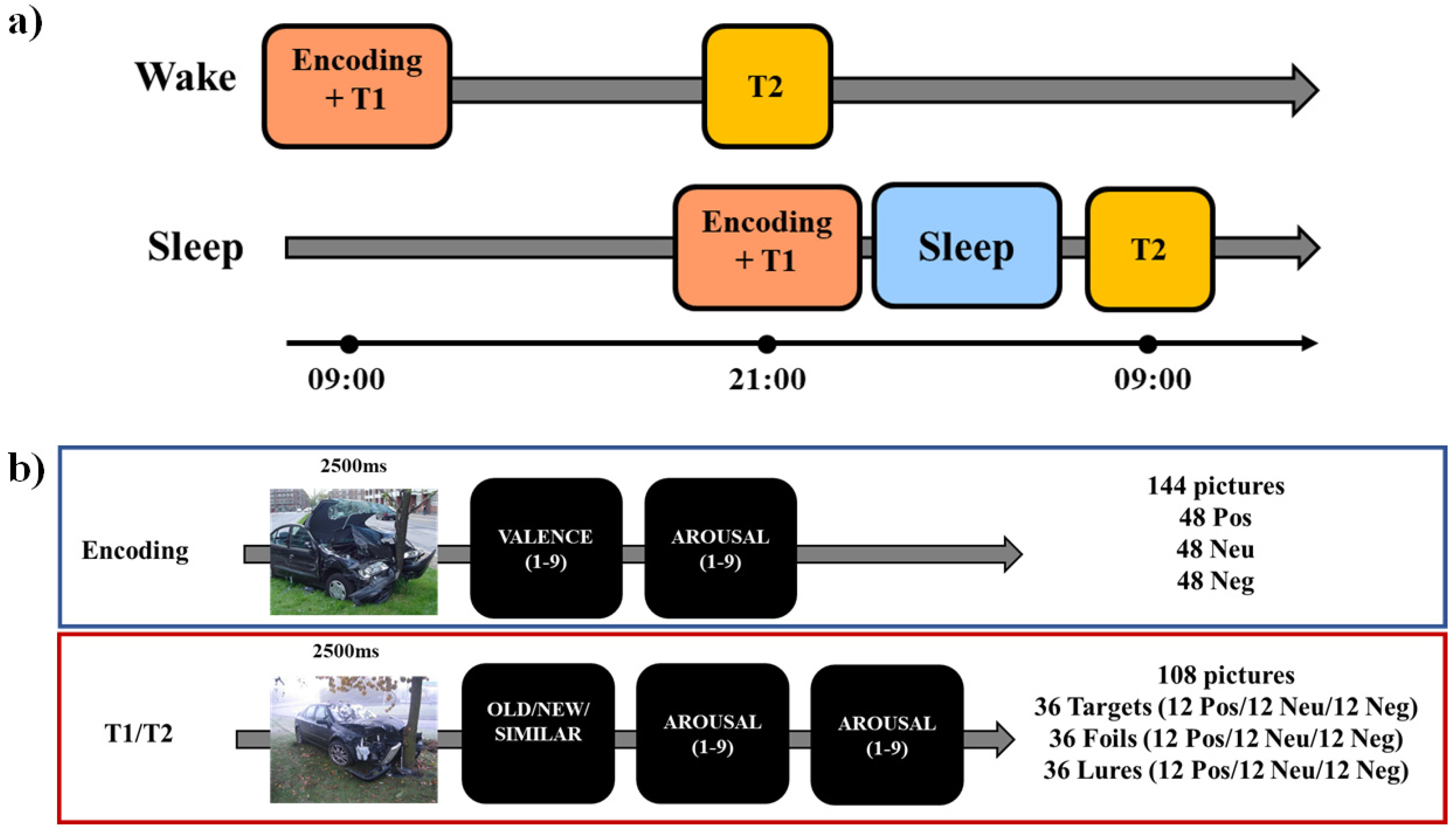 Brain Sciences | Free Full-Text | The Effect of One Night of Sleep on Mnemonic Discrimination of ...
