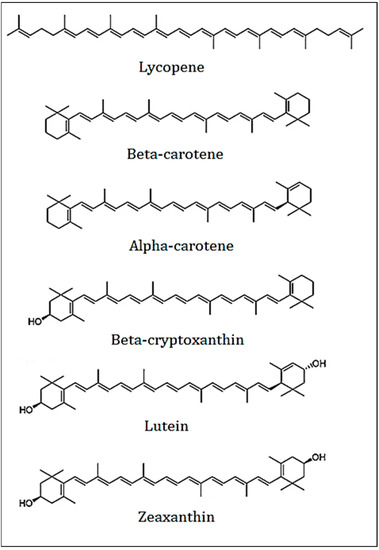 Carotenoids: Role in Neurodegenerative Diseases Remediation