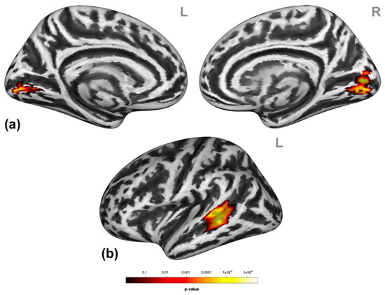 Neural Correlates of Antisocial Behavior: The Victim’s Perspective