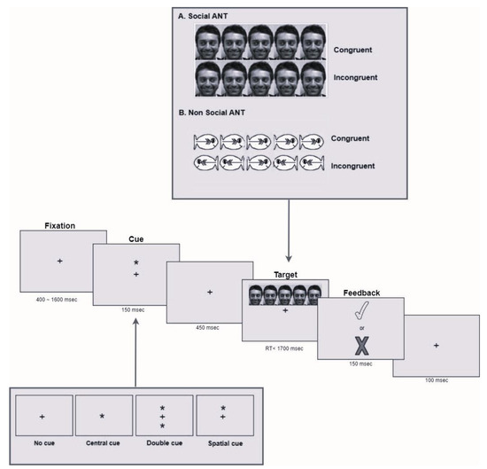 The Effects of Social Processing and Role Type on Attention Networks ...