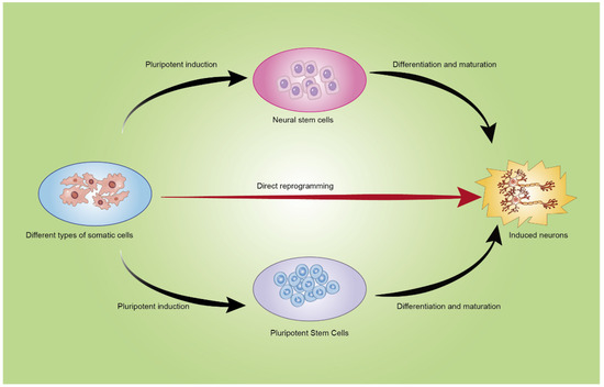 Brain Sciences | Free Full-Text | Somatic Cell Reprogramming for ...