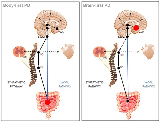 Parkinson’s Disease, SARS-CoV-2, and Frailty: Is There a Vicious Cycle ...
