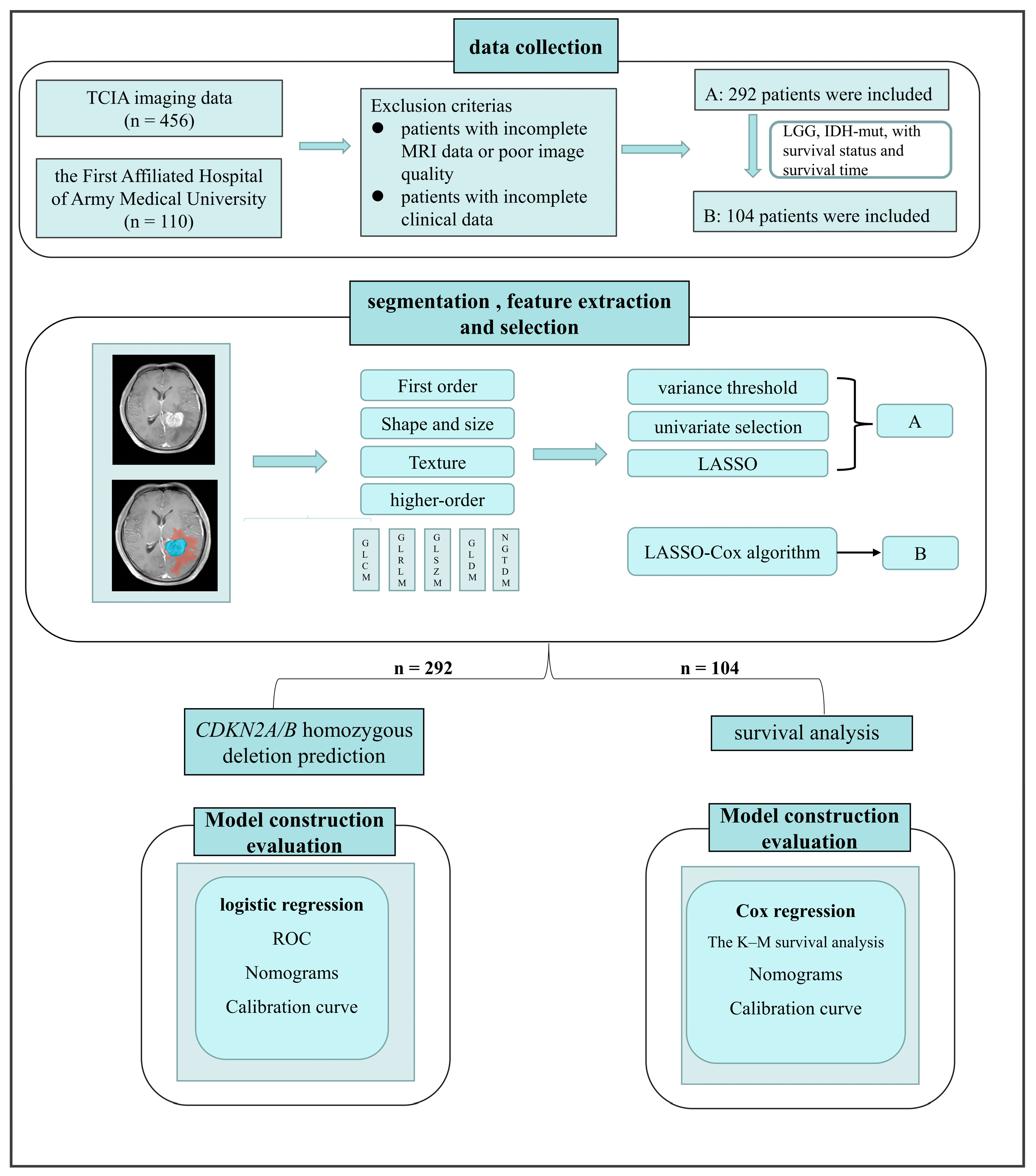 Cyclin-Dependent Kinase Inhibitor 2A/B Homozygous Deletion Prediction and Survival Analysis