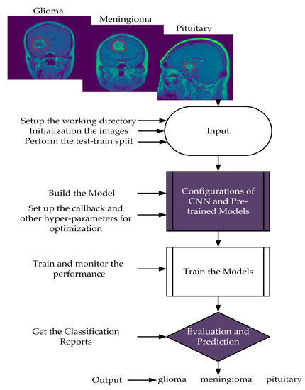 Automated Classification of Brain Tumors from Magnetic Resonance ...
