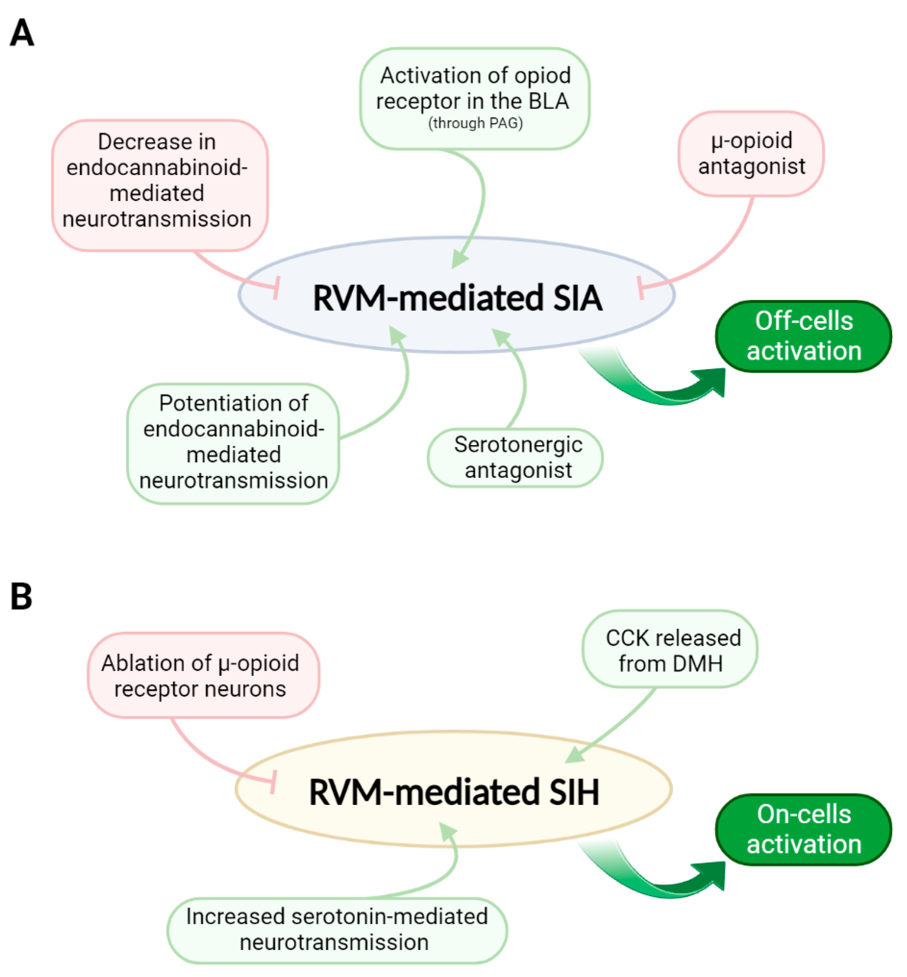The Role of The Rostral Ventromedial Medulla in Stress Responses