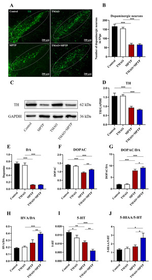 Trimethylamine N-Oxide Exacerbates Neuroinflammation and Motor ...