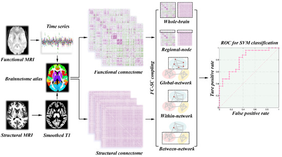 Aberrant Multimodal Connectivity Pattern Involved in Default Mode Network and Limbic Network in ...