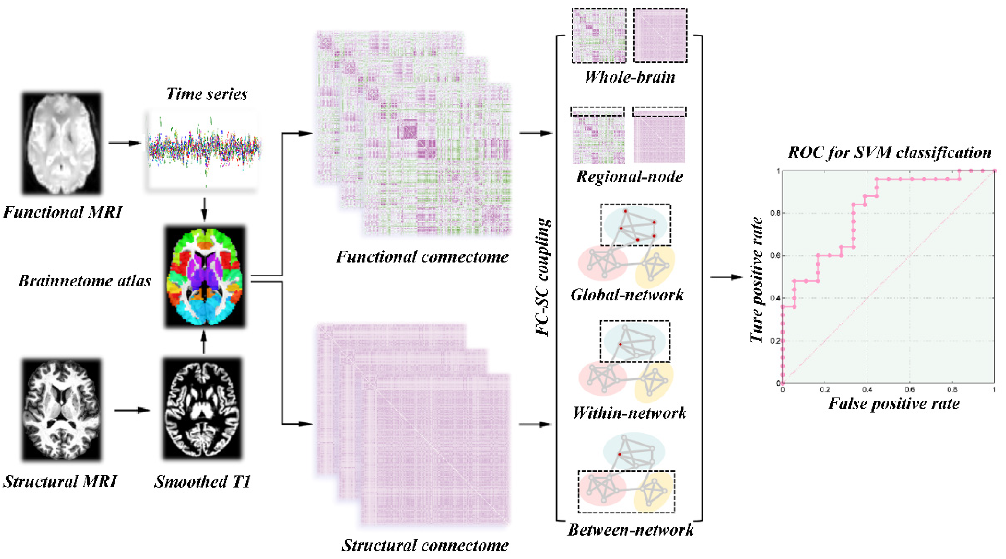 Aberrant Multimodal Connectivity Pattern Involved in Default Mode Network and Limbic Network in ...