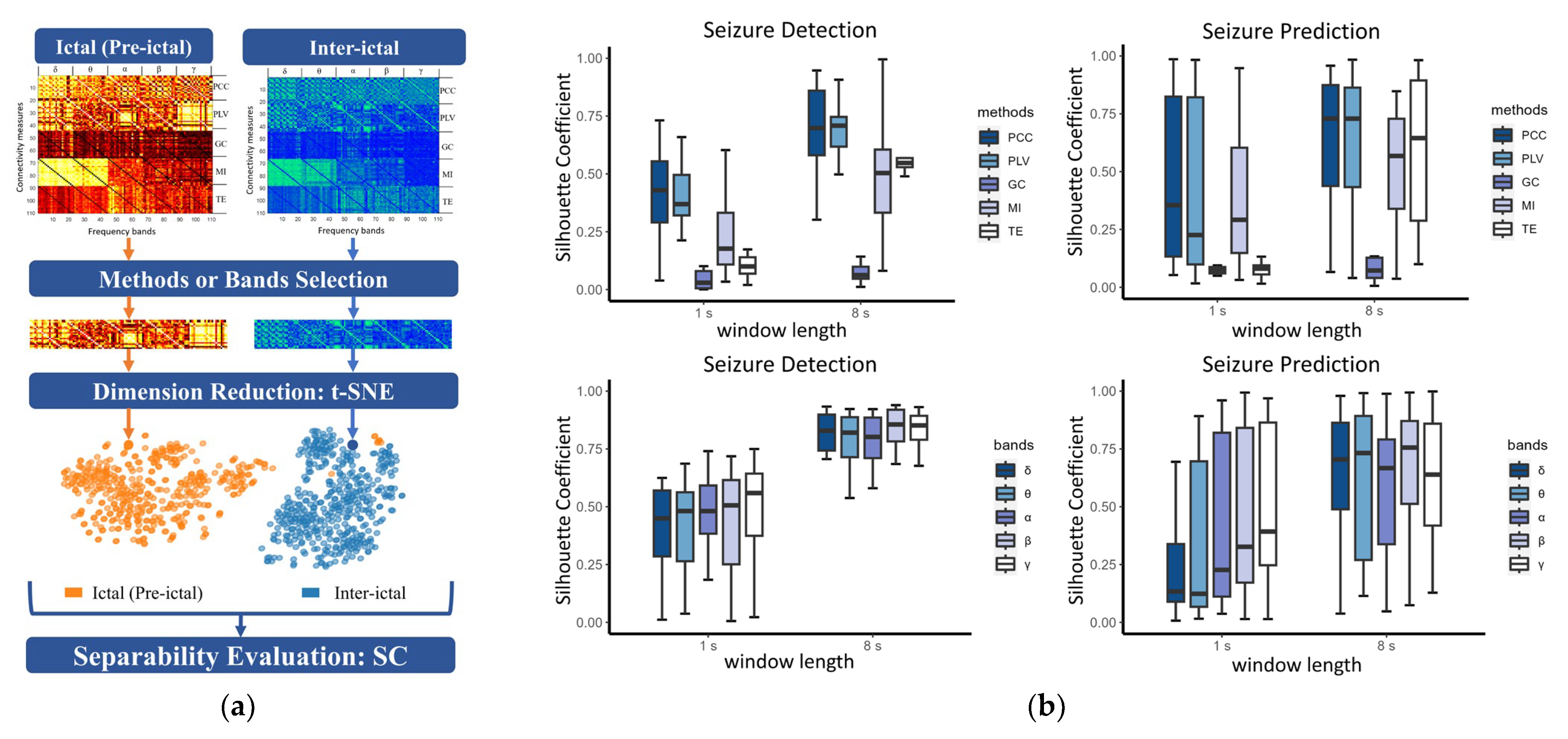 Automatic Seizure Detection and Prediction Based on Brain Connectivity Features and a CNNs Meet ...