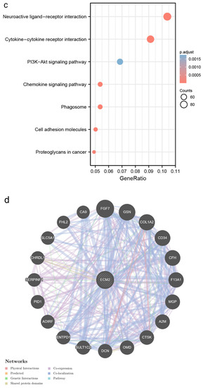 High ECM2 Expression Predicts Poor Clinical Outcome and Promotes the ...