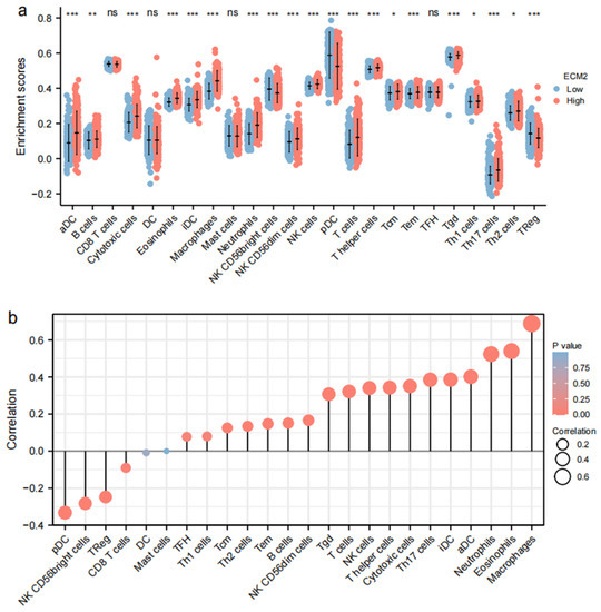 High ECM2 Expression Predicts Poor Clinical Outcome and Promotes the ...