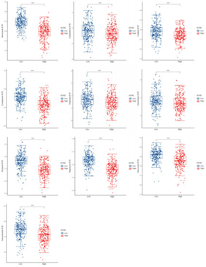 High ECM2 Expression Predicts Poor Clinical Outcome and Promotes the ...