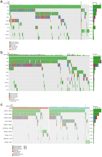 High ECM2 Expression Predicts Poor Clinical Outcome and Promotes the ...