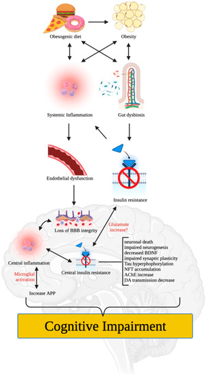 Review of Plant Extracts and Active Components: Mechanisms of Action ...