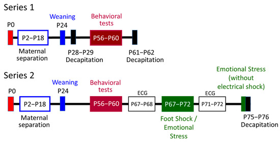 Brain Sciences | Free Full-Text | Effects of Maternal Separation and ...
