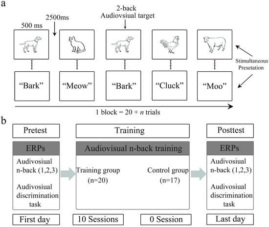 Audiovisual n-Back Training Alters the Neural Processes of Working ...