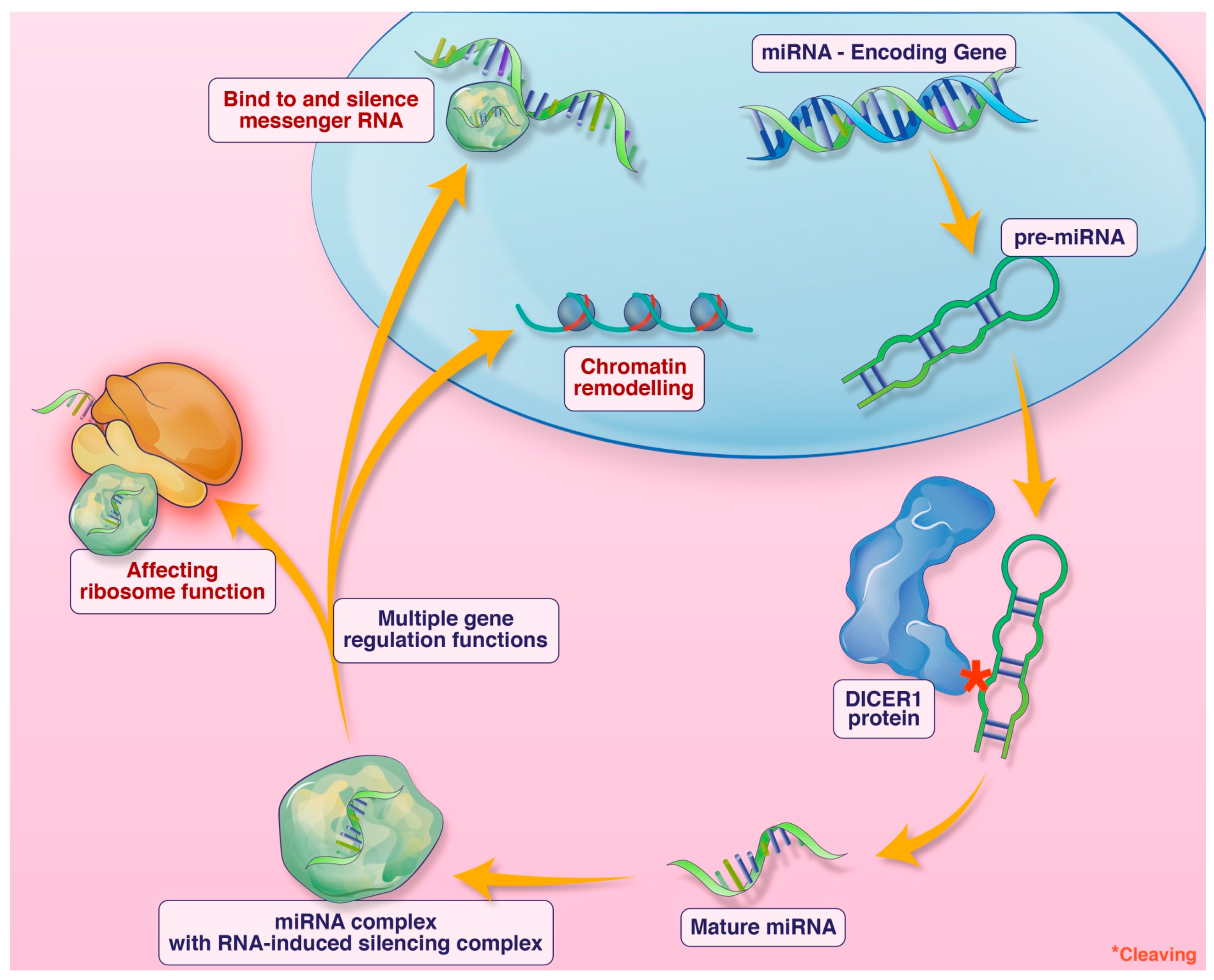 A Case of Primary Intracranial Sarcoma, DICER1-Mutant, in a Child with ...