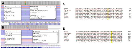 Juvenile-Onset Recurrent Rhabdomyolysis Due to Compound Heterozygote ...