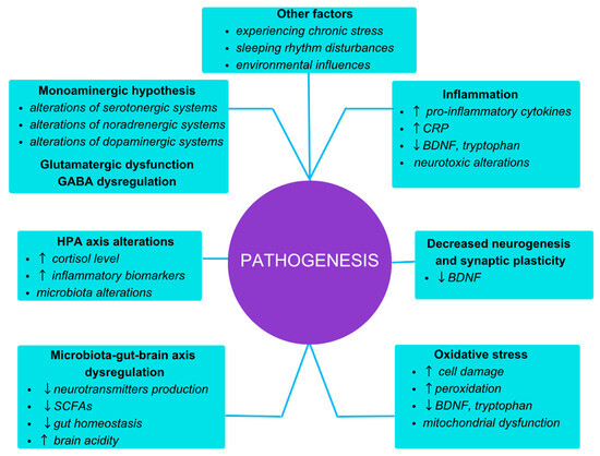 Exploring the Relationship between Mood Disorders and Coexisting Health ...