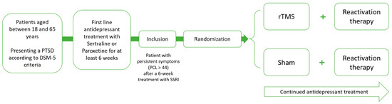 Repetitive Transcranial Magnetic Stimulation (rTMS) in Post-Traumatic ...