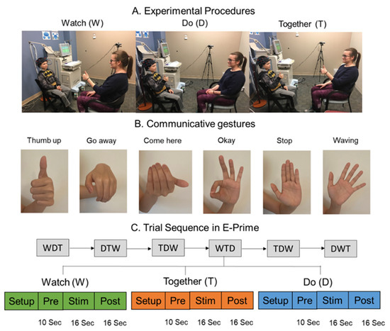 Autism-Related Differences in Cortical Activation When Observing ...