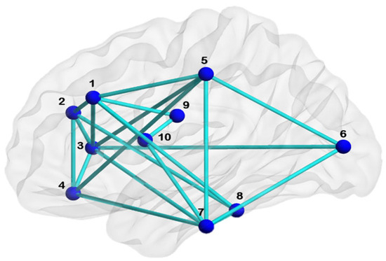 Brain Network