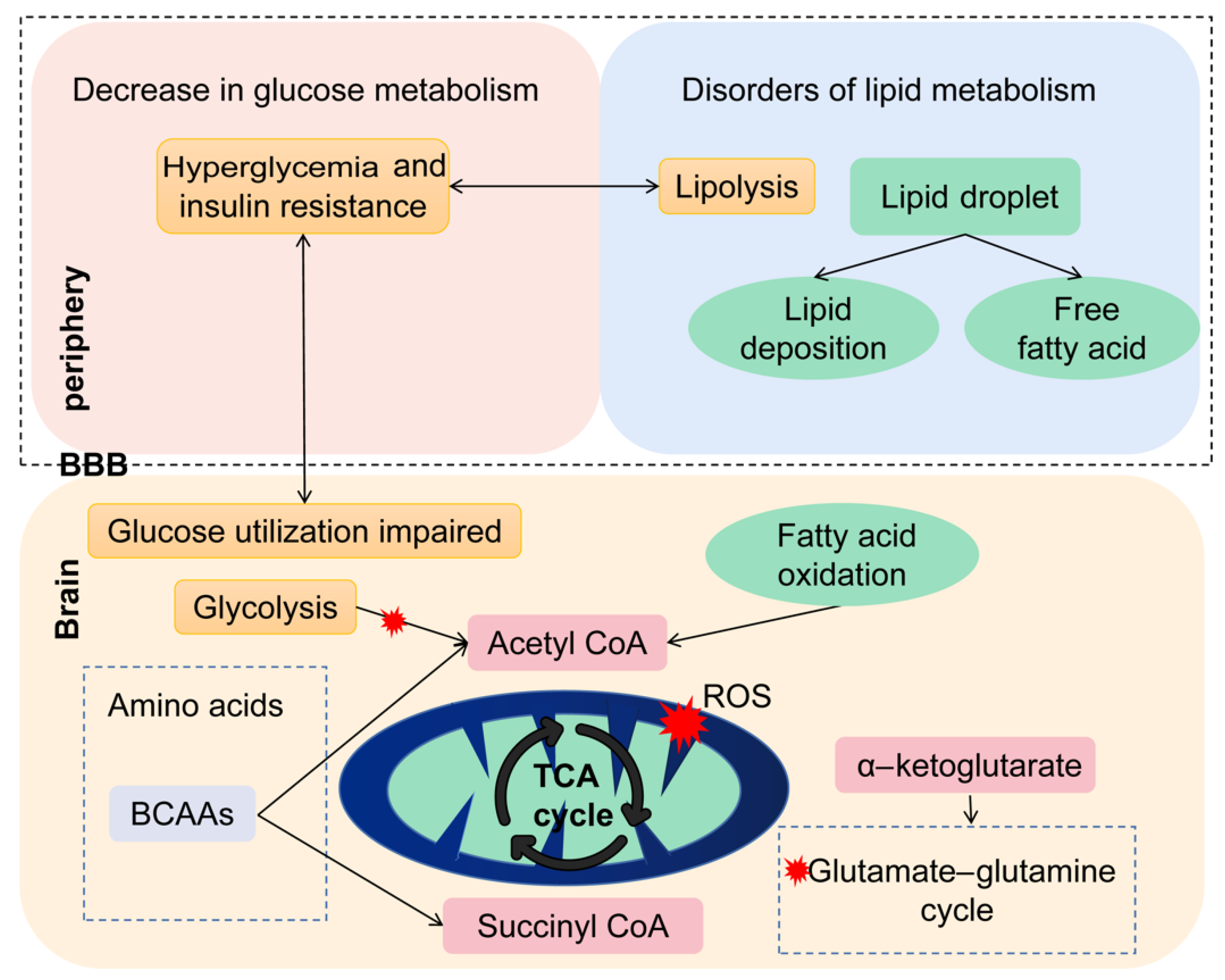 Alteration of Metabolic Profiles during the Progression of Alzheimer’s ...