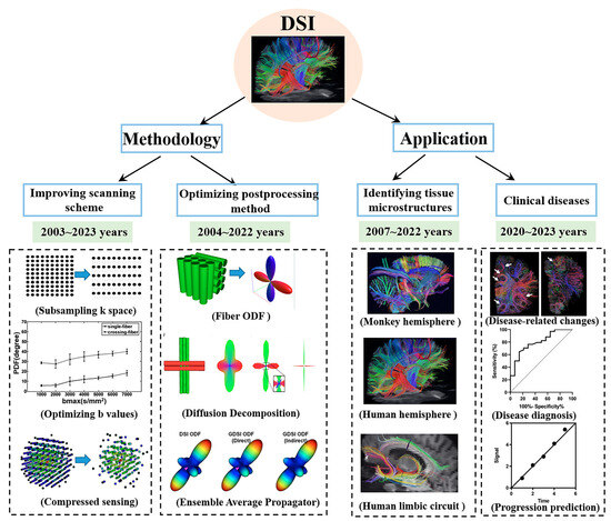 Brain Sciences | Free Full-Text | Research Progress in Diffusion ...