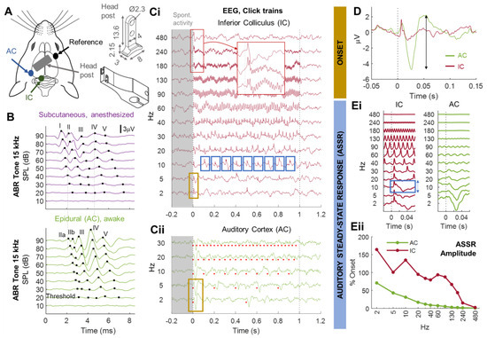 Detecting Central Auditory Processing Disorders in Awake Mice