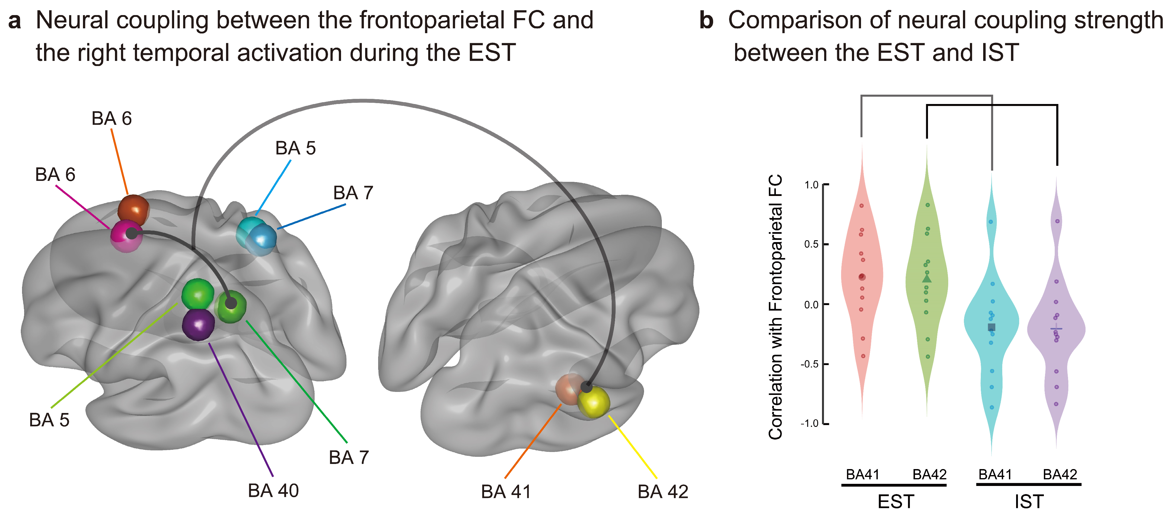 Brain Sciences | Free Full-Text | Neural Coupling between Interhemispheric and Frontoparietal ...