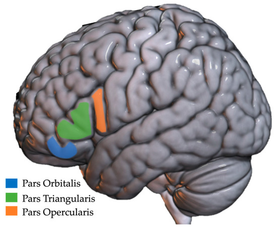 Bridging the Divide: Brain and Behavior in Developmental Language Disorder