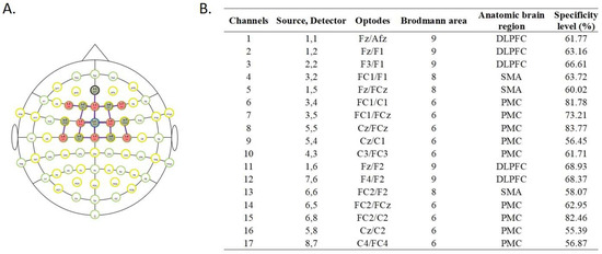 Brain Sciences | Free Full-Text | Prefrontal and Motor Planning ...