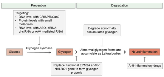 Lafora Disease: A Case Report and Evolving Treatment Advancements