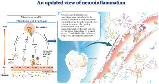Neuroinflammation and Neurodegenerative Diseases: How Much Do We Still ...