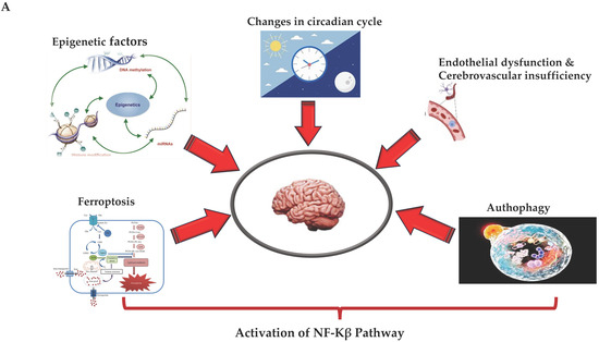 Neuroinflammation and Neurodegenerative Diseases: How Much Do We Still ...