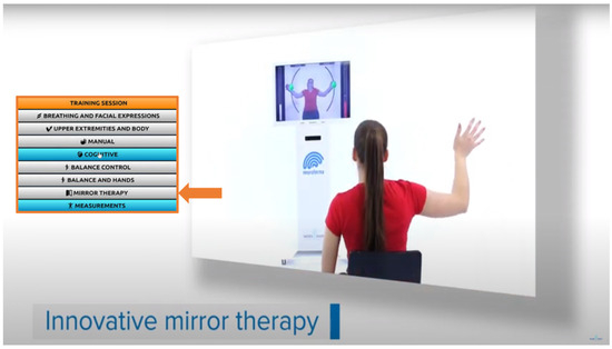 Being in Virtual Reality and Its Influence on Brain Health—An Overview ...