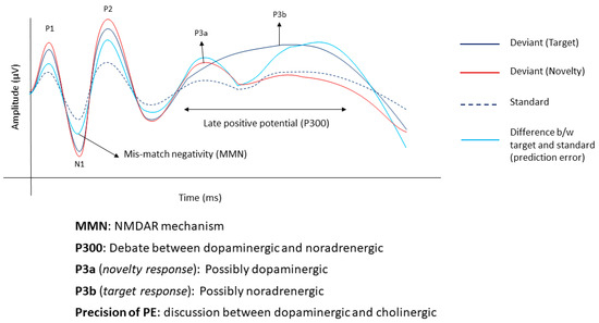 Development, Insults and Predisposing Factors of the Brain’s Predictive ...