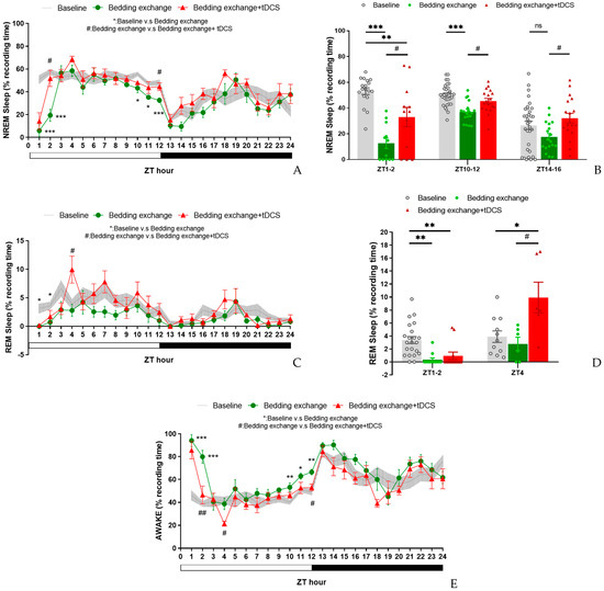 Transcranial Direct Current Stimulation (tDCS) Ameliorates Stress ...