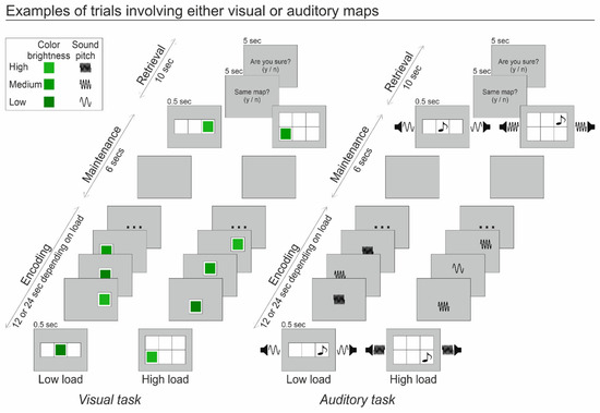 Working Memory Maintenance of Visual and Auditory Spatial Information Relies on Supramodal ...