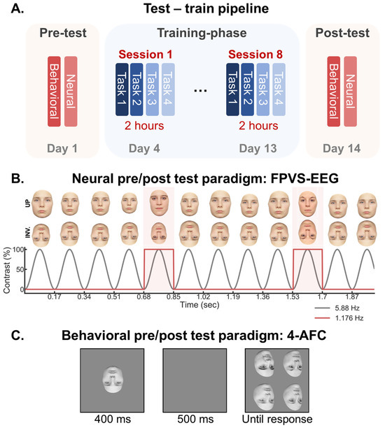 Extensive Visual Training in Adulthood Reduces an Implicit Neural ...
