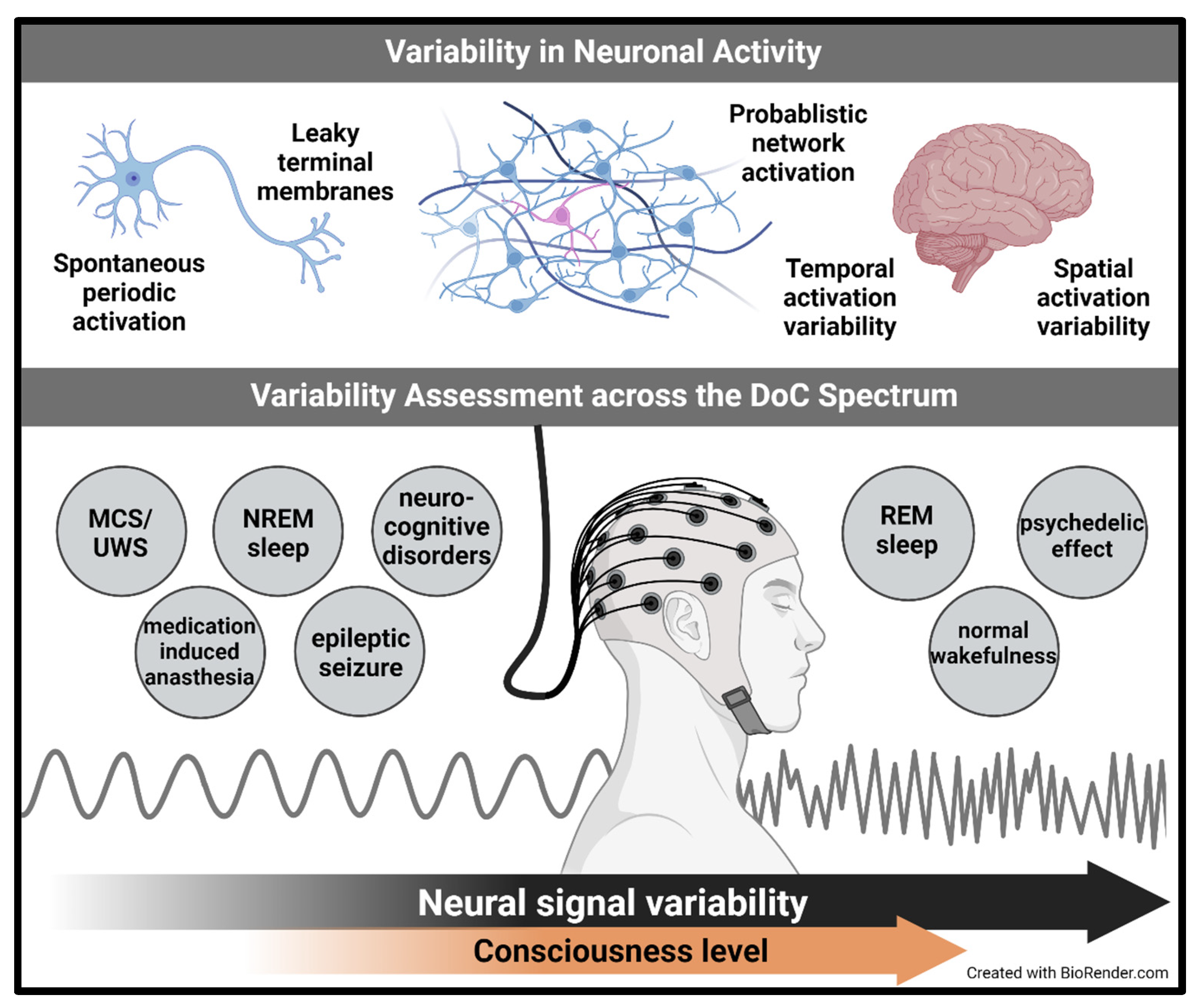 Brain Sciences | Free Full-Text | The Constrained Disorder Principle May Account for Consciousness