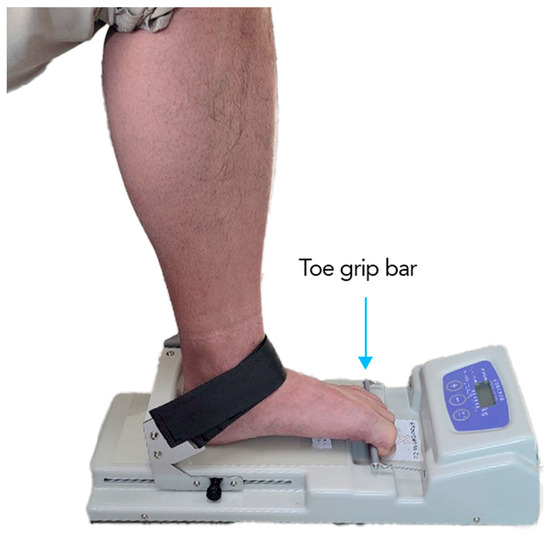 Toe Grip Strength Is Associated with Improving Gait Function in ...