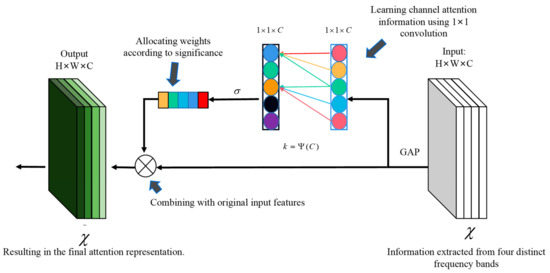 Brain Sciences | Free Full-Text | Exploring Brain Dynamics via EEG and Steady-State Activation ...