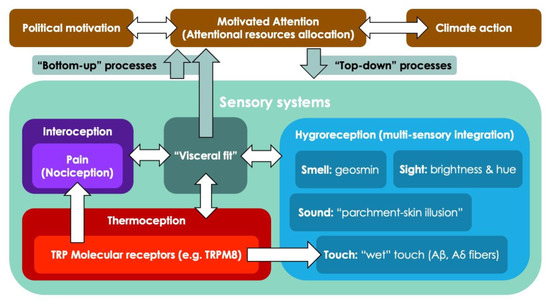 Do Individual Differences in Perception Affect Awareness of Climate Change?