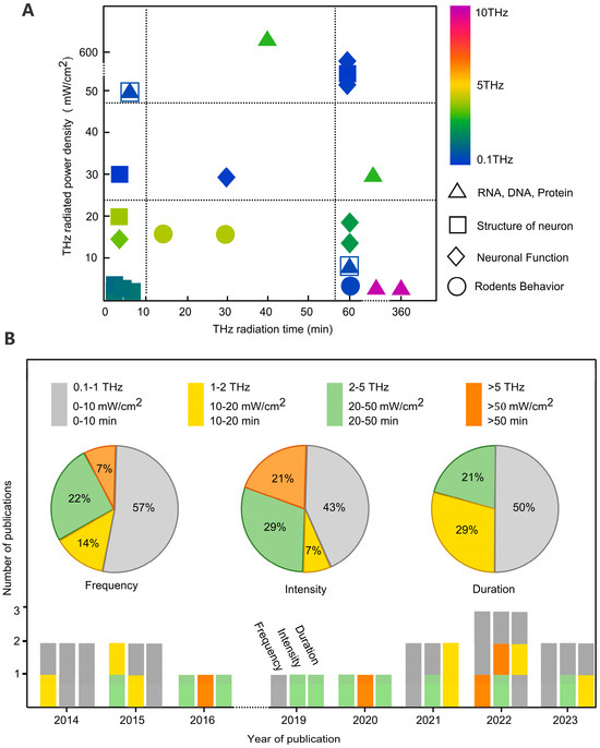 Terahertz Radiation Modulates Neuronal Morphology and Dynamics Properties