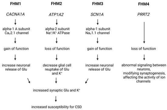 Models of Trigeminal Activation: Is There an Animal Model of Migraine?