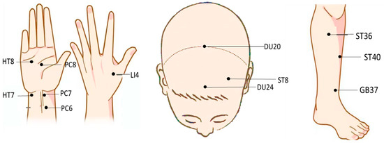 Brain Sciences | Free Full-Text | Advances in Non-Invasive ...