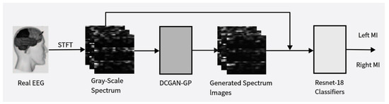 Brain Sciences | Free Full-Text | A Data Augmentation Method for Motor ...