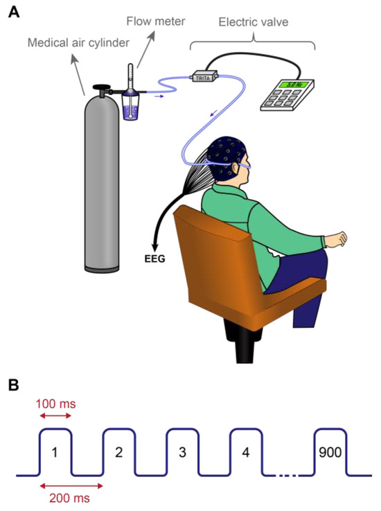 Brain Sciences | Free Full-Text | Olfactory Epithelium Stimulation ...